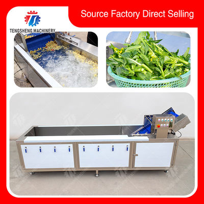 Commercial Fruit And Vegetable Washing Machine High Pressure Water Flow
