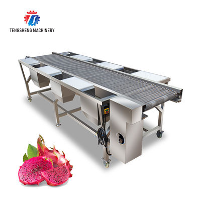 Fruit And Vegetable Production Line Multi Station Selection Cutting ...