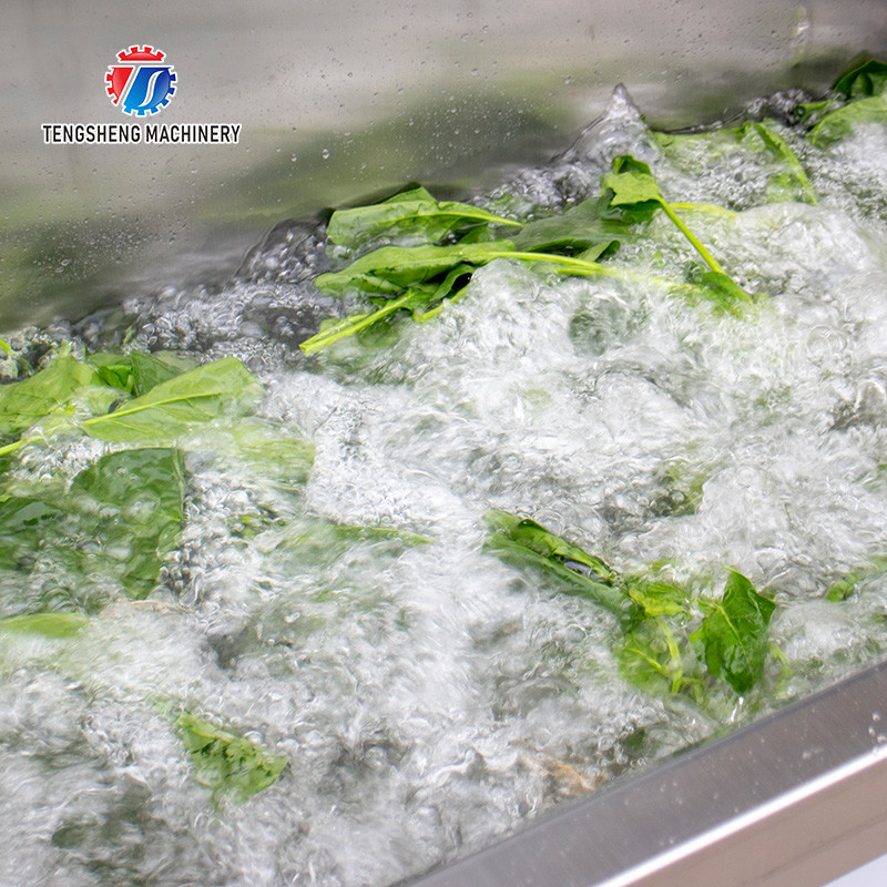 85KG 0.55KW Small vegetable washing machine single tank fruit and ...