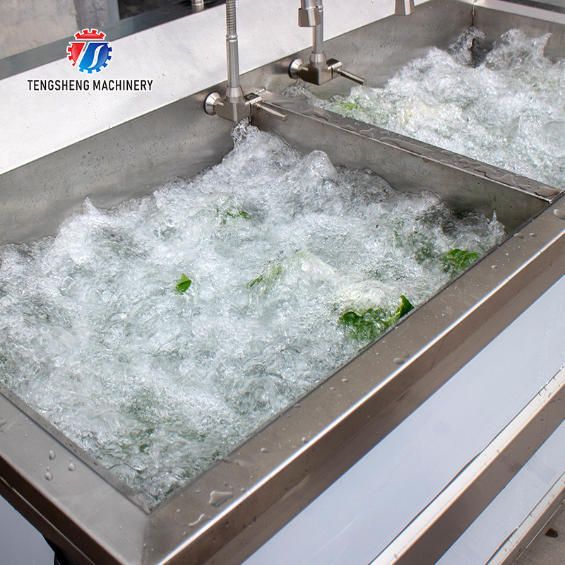 1.1KW Multi-functional vegetable washing machine seafood meat cleaning ...