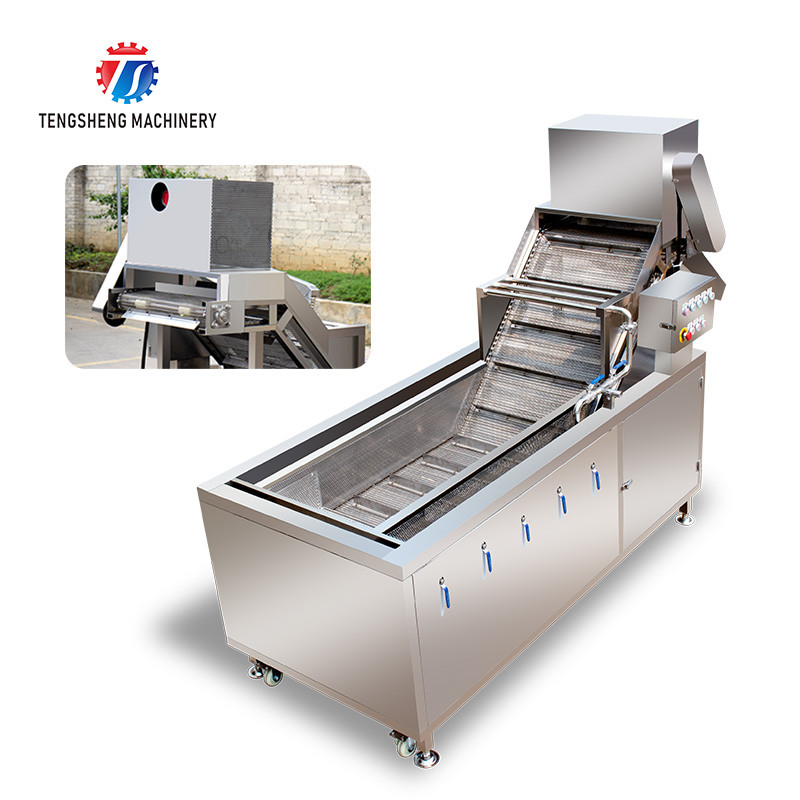 2.6KW Multi-functional fruit and vegetable bubble cleaning machine ...