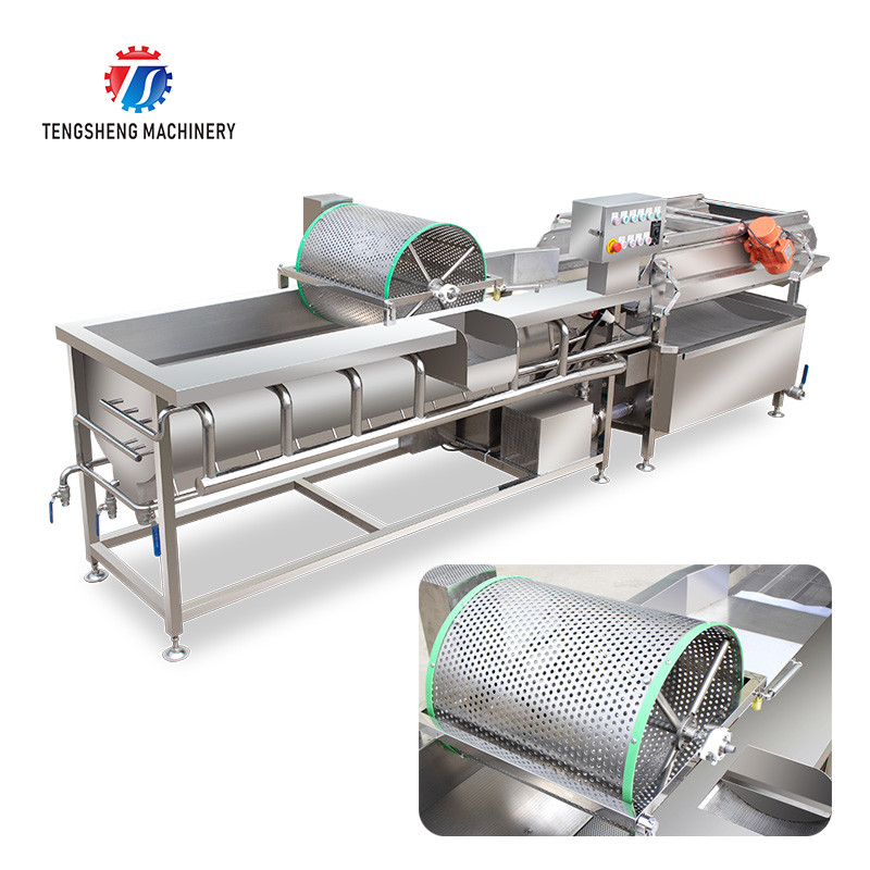 1000KG/H Large vegetables and fruits eddy current wave washing machine ...