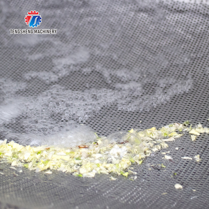 1000KG/H Large vegetables and fruits eddy current wave washing machine ...