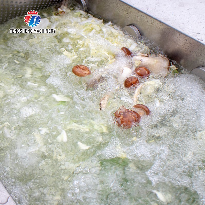 1000KG/H Large vegetables and fruits eddy current wave washing machine ...