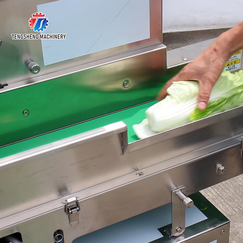 180KG Automatic large vegetable leaf cutting machine kitchen fruit and ...