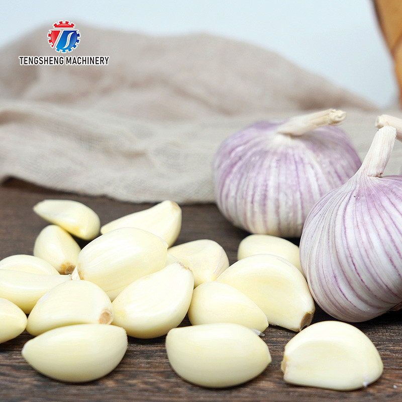 90KG Restaurants Power Saving Garlic Processing Machine Airflow ...