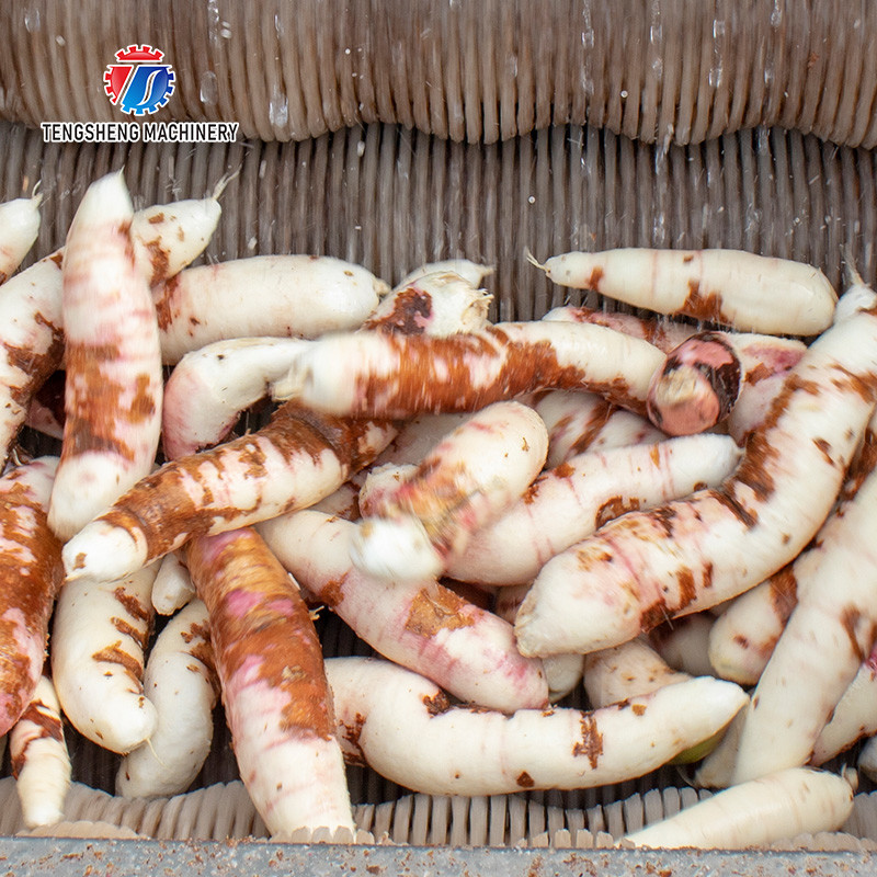 380KG Stainless steel roller cleaning machine, ginger, taro, lotus root ...