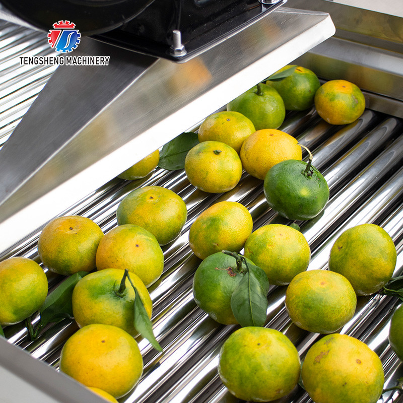 350KG 380V Vegetable drain air drying machine complete set of equipment for fruit and vegetable ...