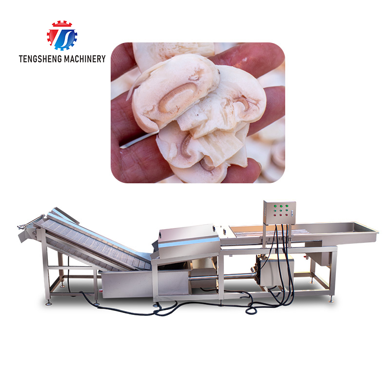 Mushroom slicer Wash Washer Washing Shiitake mushrooms Cleaning Dryer ...