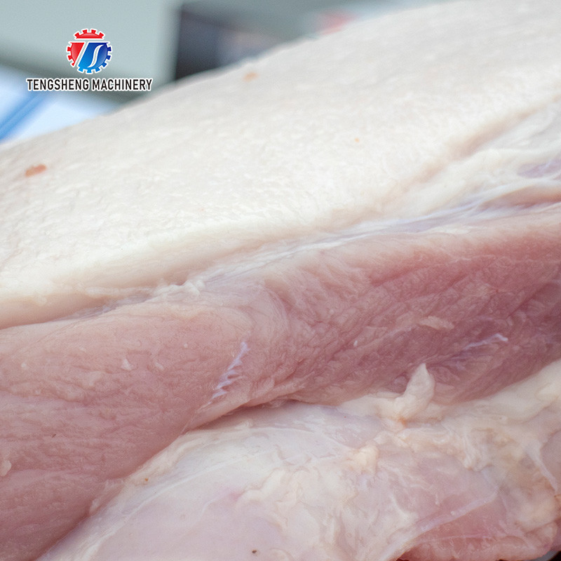 0.75KW Pork skinning machine thickness adjustable meat joint factory ...