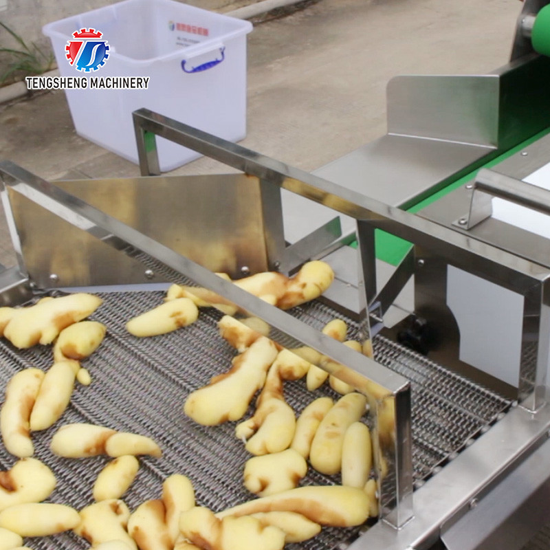 2KW 300KG Manual selection sorting table stainless steel air - drying ...