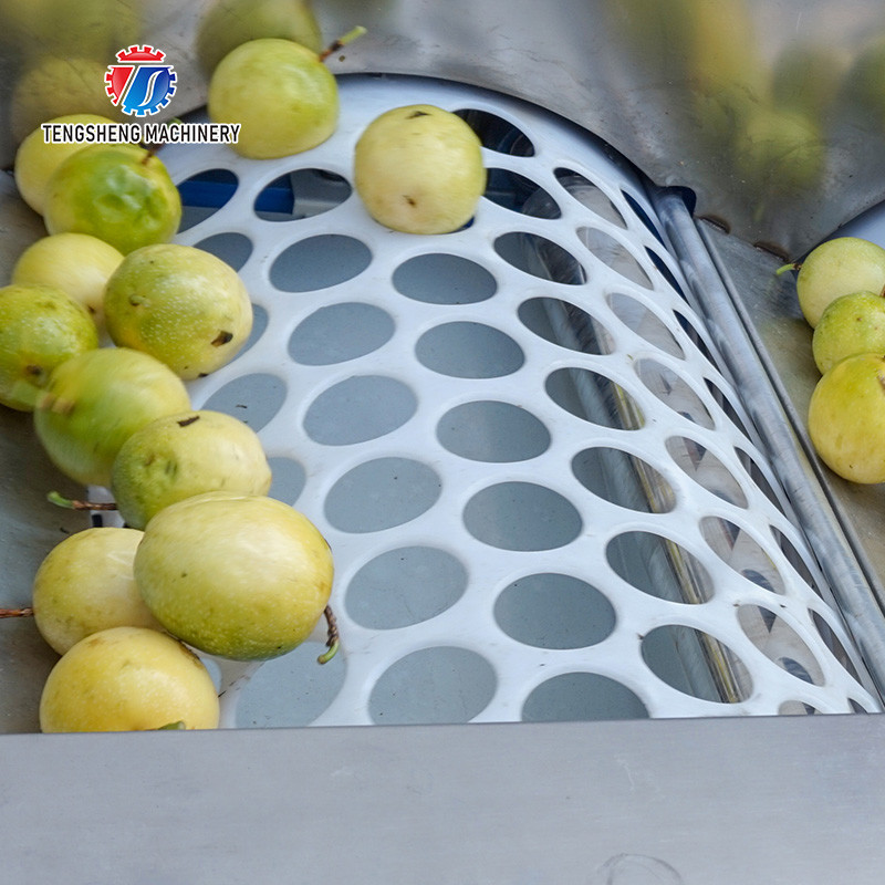 150KG 380V Lemon screening and grading machine stainless steel fruit sorting machine citrus ...