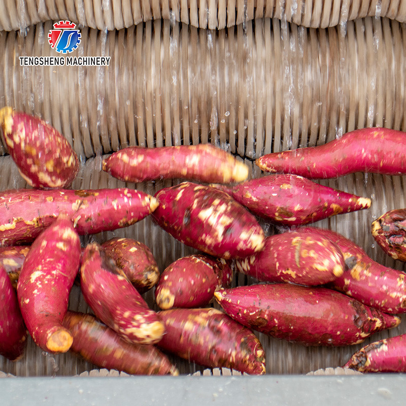 1500KG/H Ginger peeling cleaning machine potato yam peeling machine ...