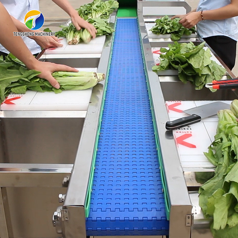 Meat Vegetable Fruit Sorting Table Food Machine SS304 Z Type Structure