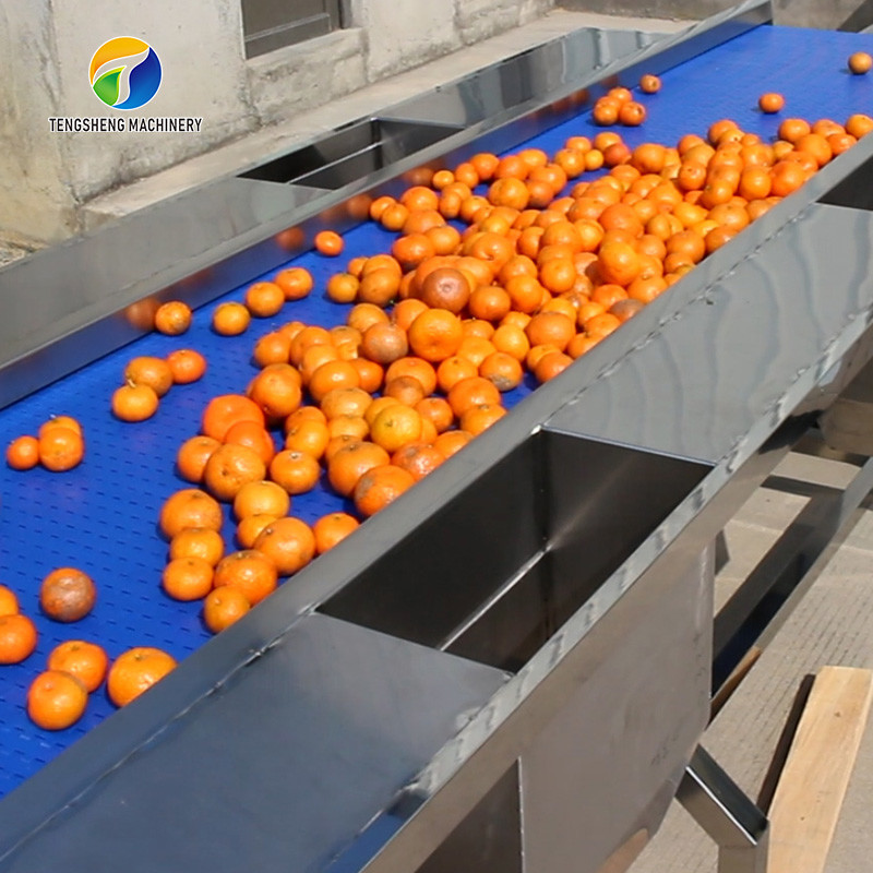 Meat Vegetable Fruit Sorting Table Food Machine SS304 Z Type Structure