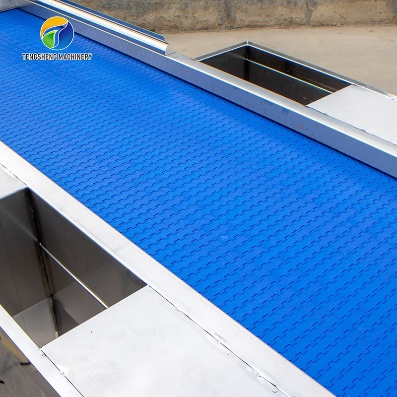 Meat Vegetable Fruit Sorting Table Food Machine SS304 Z Type Structure