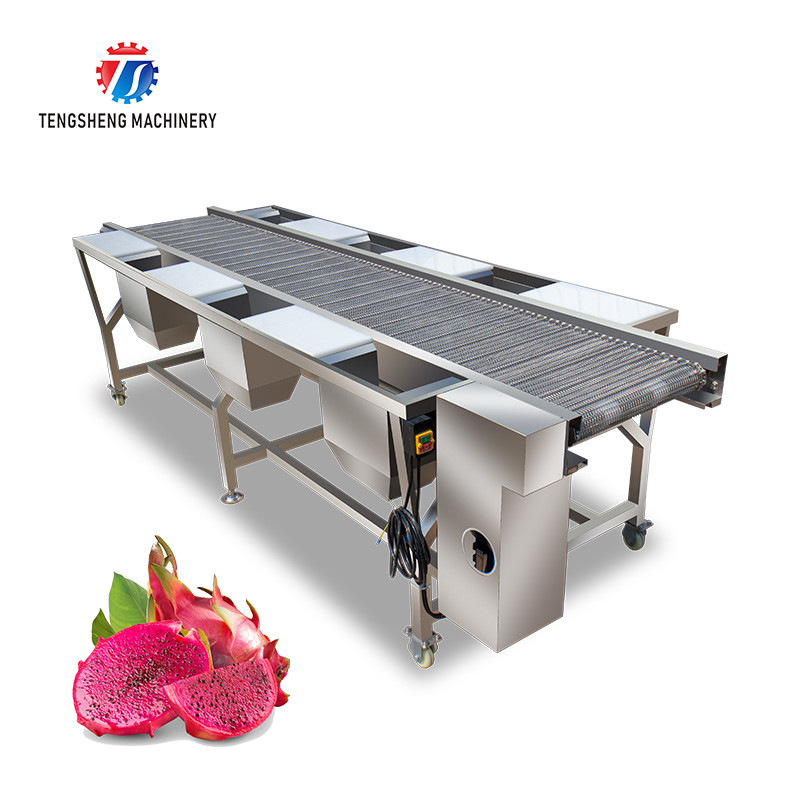 Fruit And Vegetable Production Line Multi Station Selection Cutting Conveyor Table