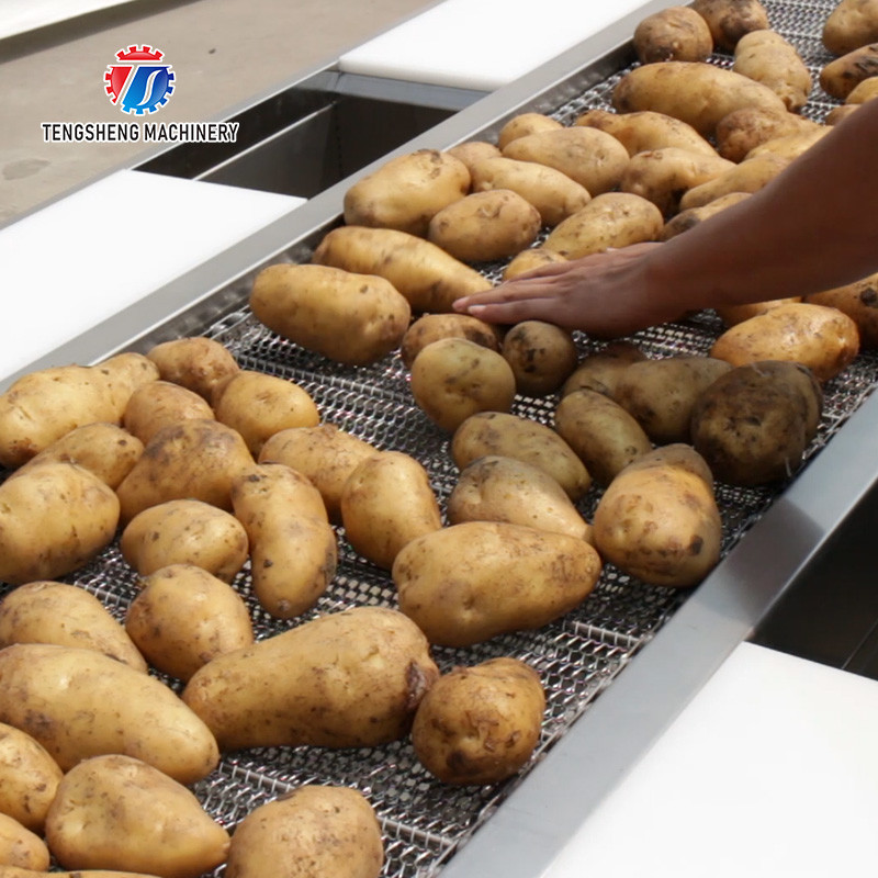 Spot vegetable sorting equipment commercial vegetable and fruit sorting ...