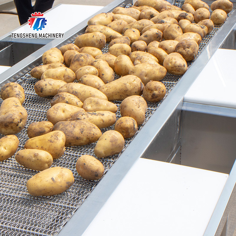 Spot vegetable sorting equipment commercial vegetable and fruit sorting ...