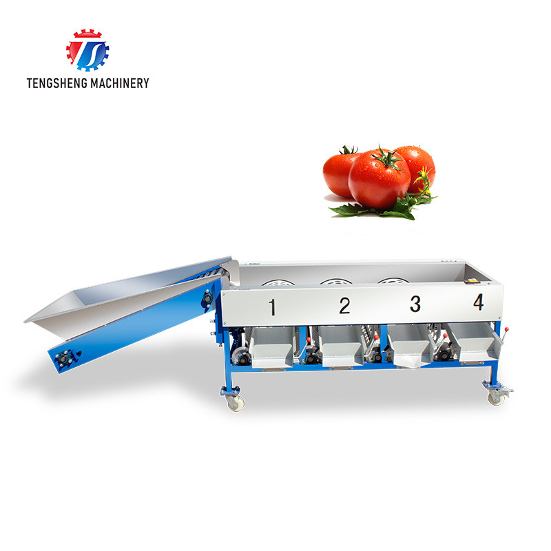 Automatic Cherry Tomato Fruit Sorter Machine Potato Sorting Grading Machine