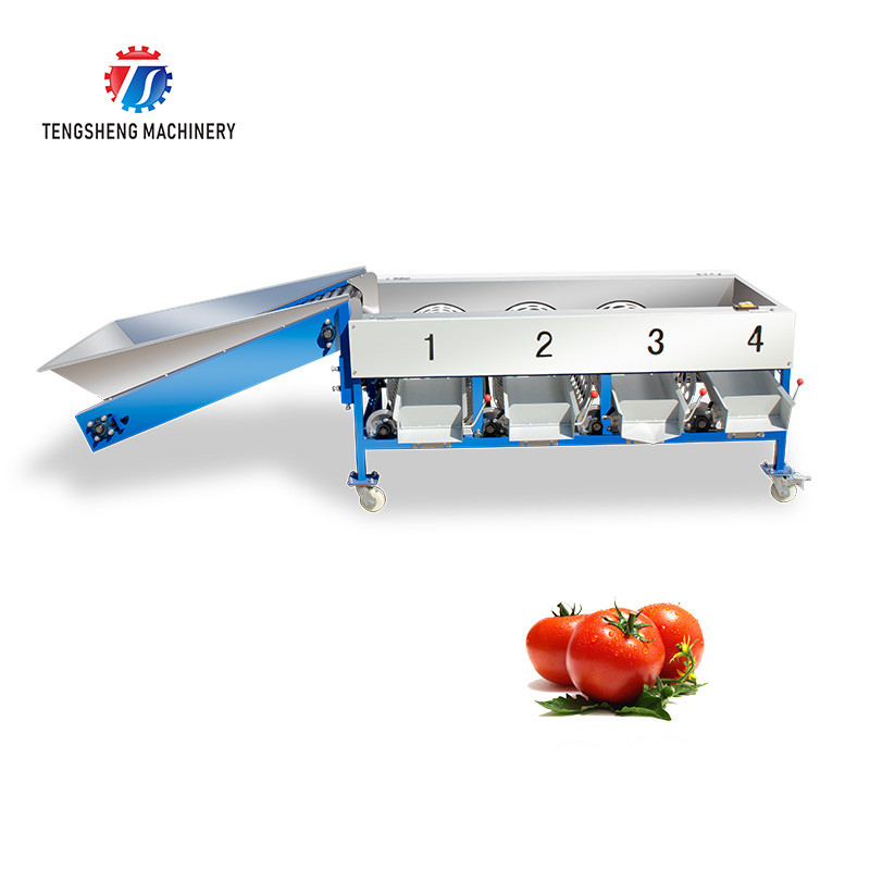280KG Lemon screening and grading machine special stainless steel ...