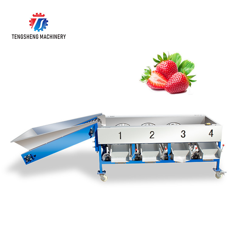 280KG Automatic rolling type conveying melon and fruit roller round ...