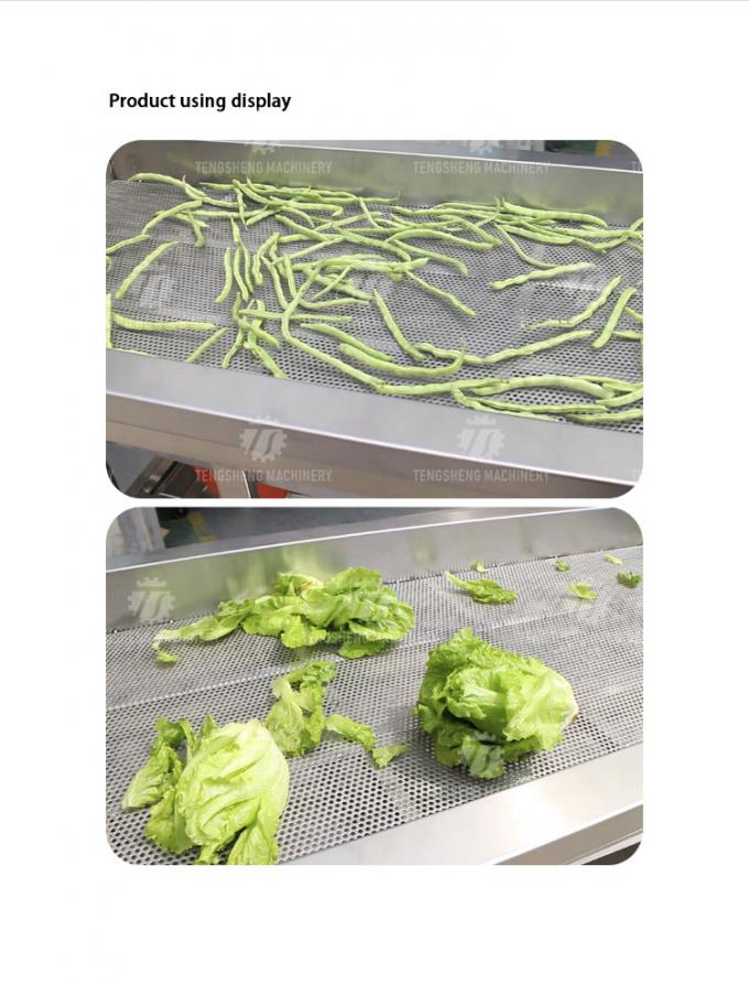 0.75KW 380V Commercial Vegetable Vibration Draining Machine